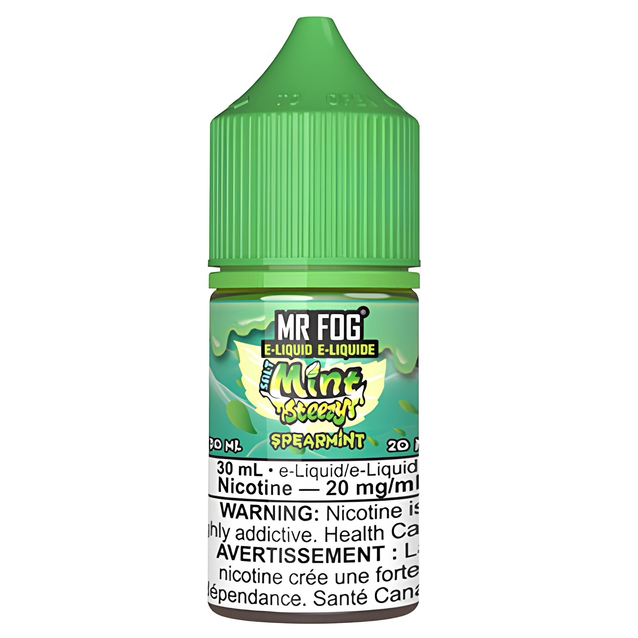 MINT STEEZY SPEARMINT - MR FOG SALT 30ML